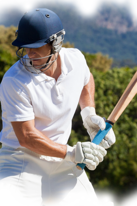 Mega Cricket World – Where Passion Meets Betting Action